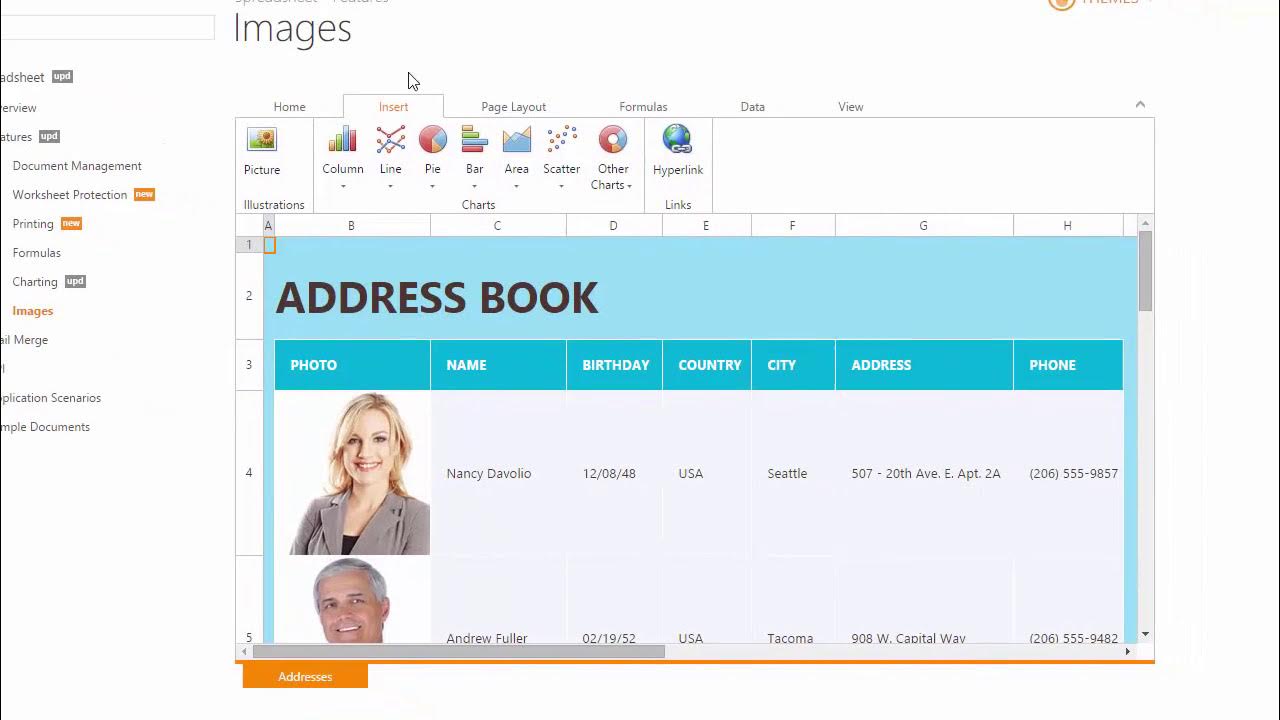 Introduction to DevExpress Spreadsheet for ASP.NET Web Forms & MVC ...
