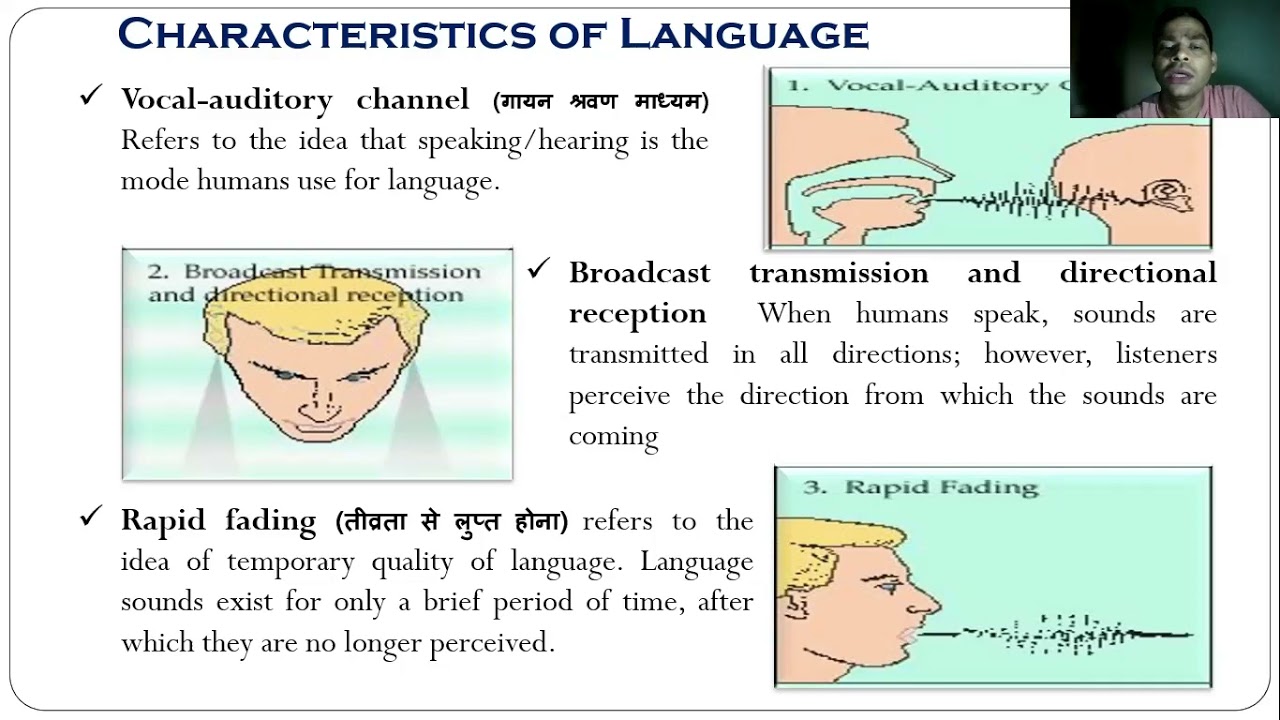 Characteristics Of Language YouTube characteristics-of-language-youtube
