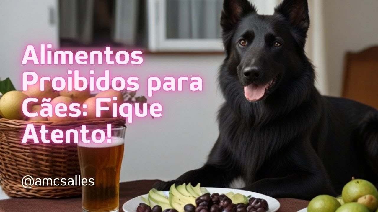 "Alimentos Proibidos para Cães: Fique Atento!" - YouTube