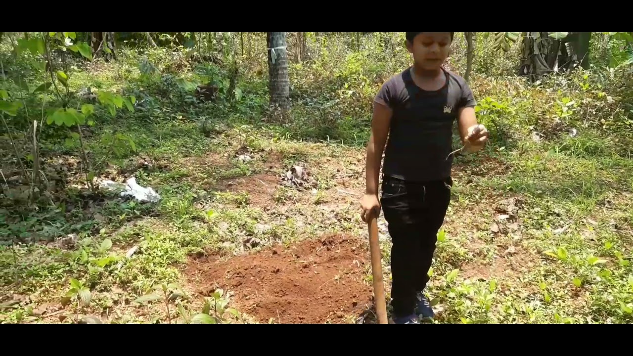 A Short Planting 🧒😅💚🌱 - YouTube