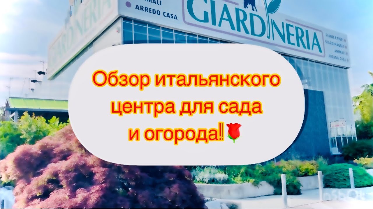 Что почем в итальянском торговом центре “Giardineria” 🌹 - YouTube