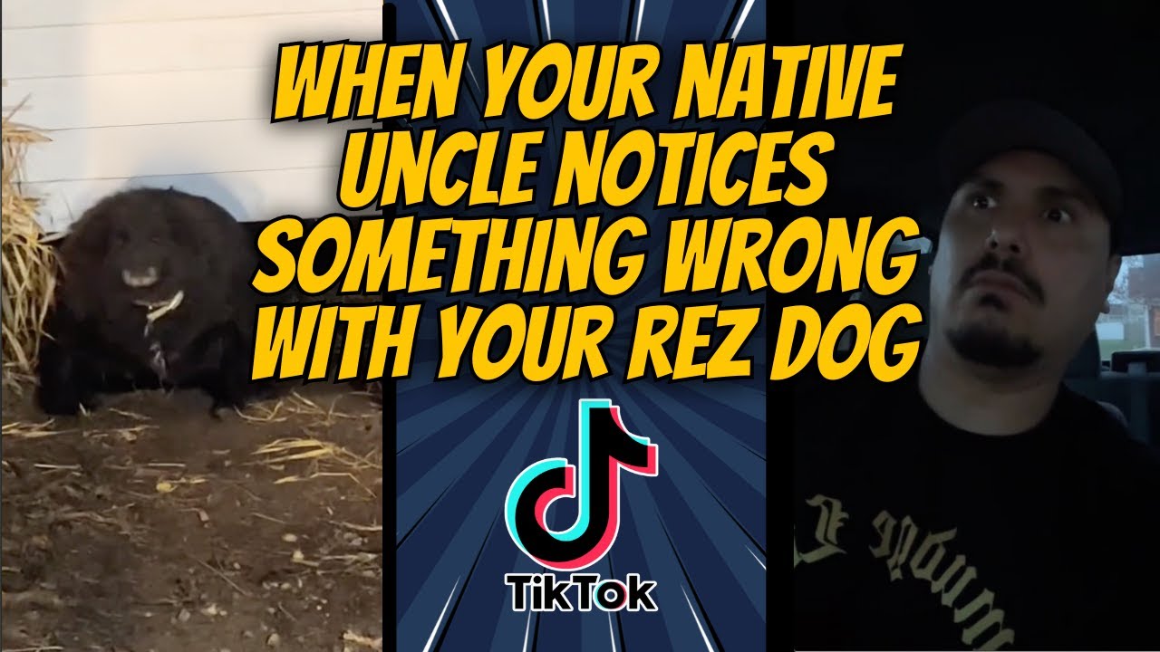 When Your Native Uncle Notices Something Wrong With Your Rez Dog (Part ...