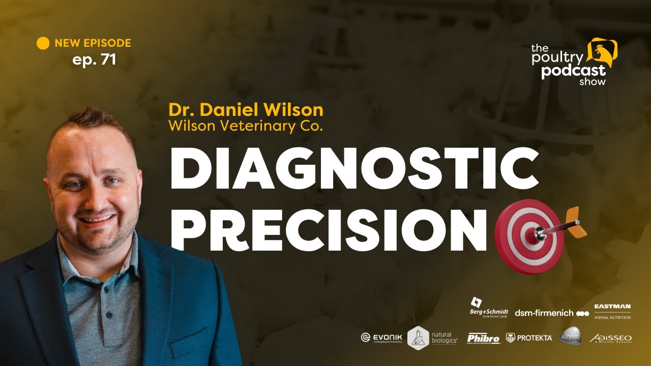 Dr. Daniel Wilson: Diagnostic Precision | Ep. 71 - YouTube