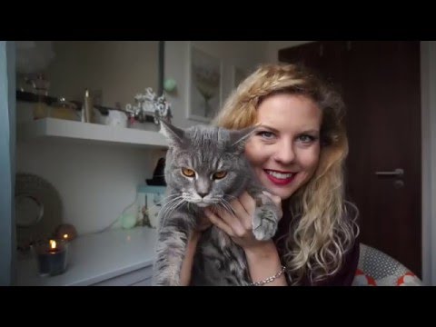 Lednový lov slev