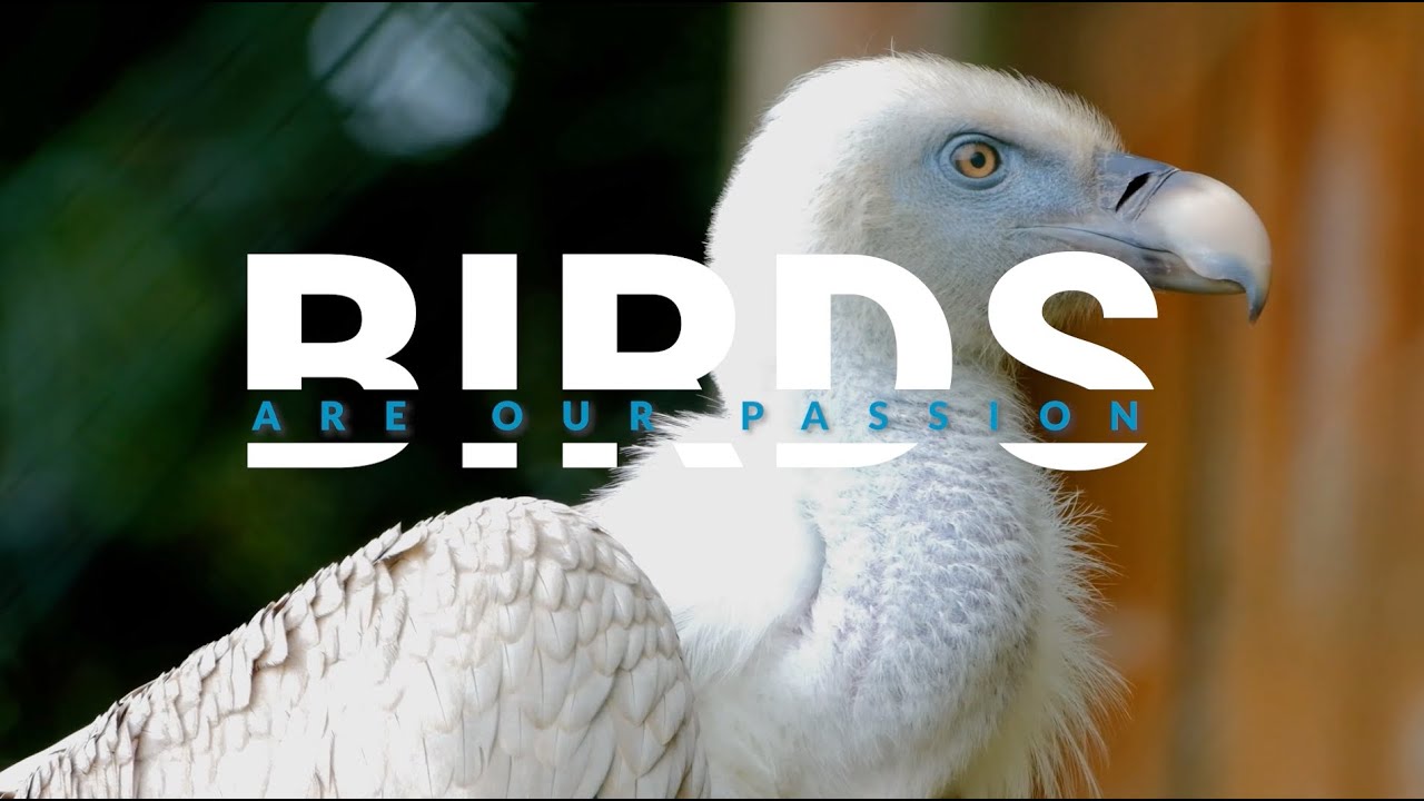 So many reasons to be a member of the Association of Avian ...