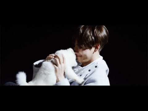 BTS V kore klip