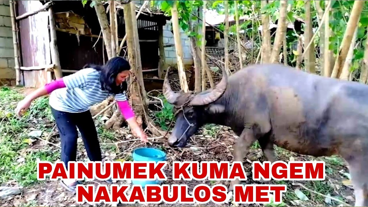NAKABULOS AYTOY NUWANG ME | ILOCANO VLOG - YouTube
