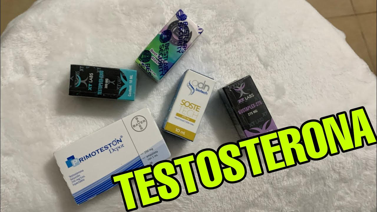 TESTOSTERONA *tipos y diferencias* Ciclo de principiantes - YouTube
