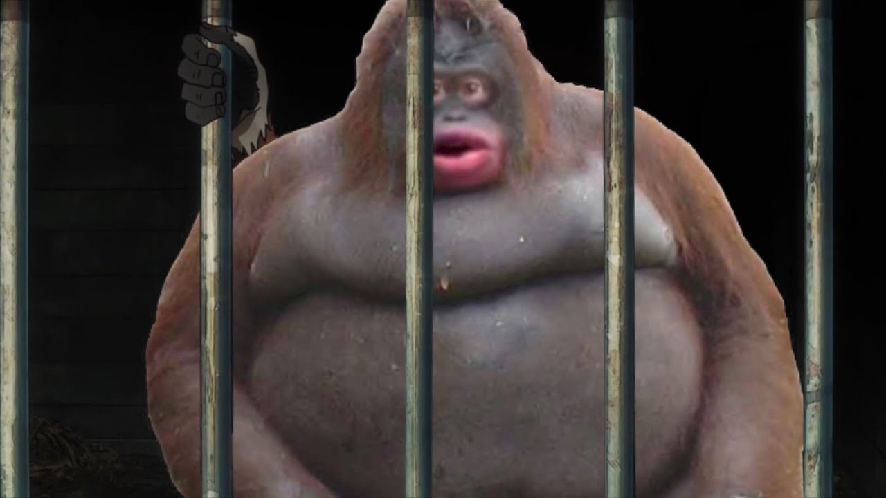 Le Monke In Jojo's Bizarre Adventure?!? - YouTube