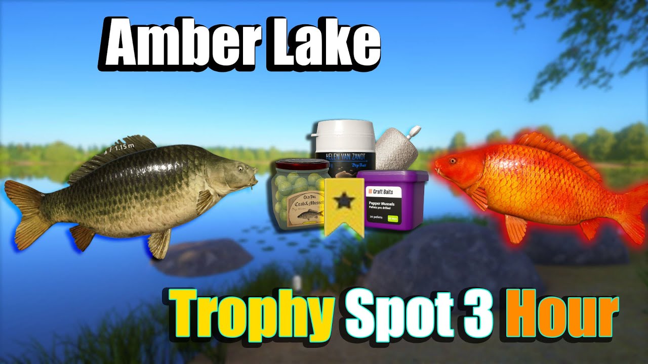 The Amber Lake Trophy Carp Spot - Russian Fishing 4 RF4 #351 - YouTube