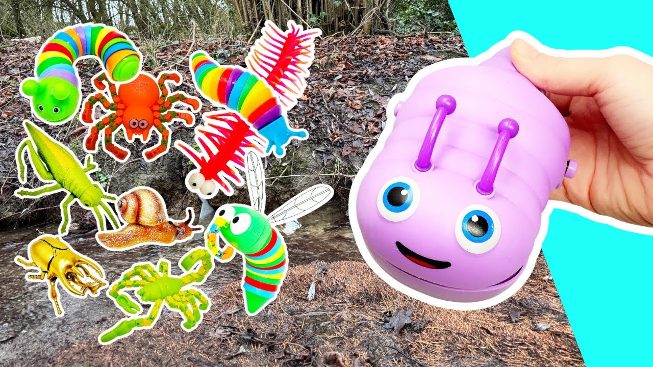 Learn Bug Names & Facts at the Stream for Babies Toddlers Kids ...
