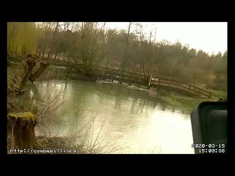 Combe Mill Live Stream - YouTube