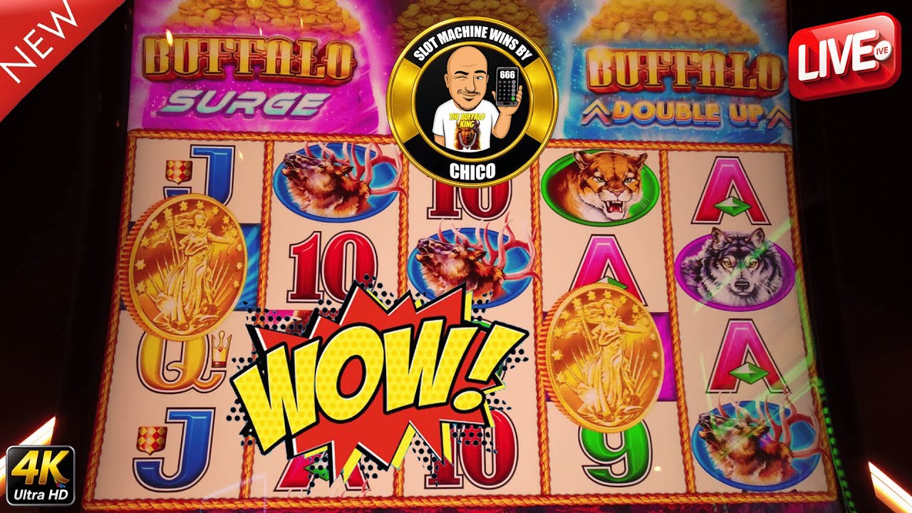 Just Released Big Win Slot Videos: The Latest & Best Payouts
