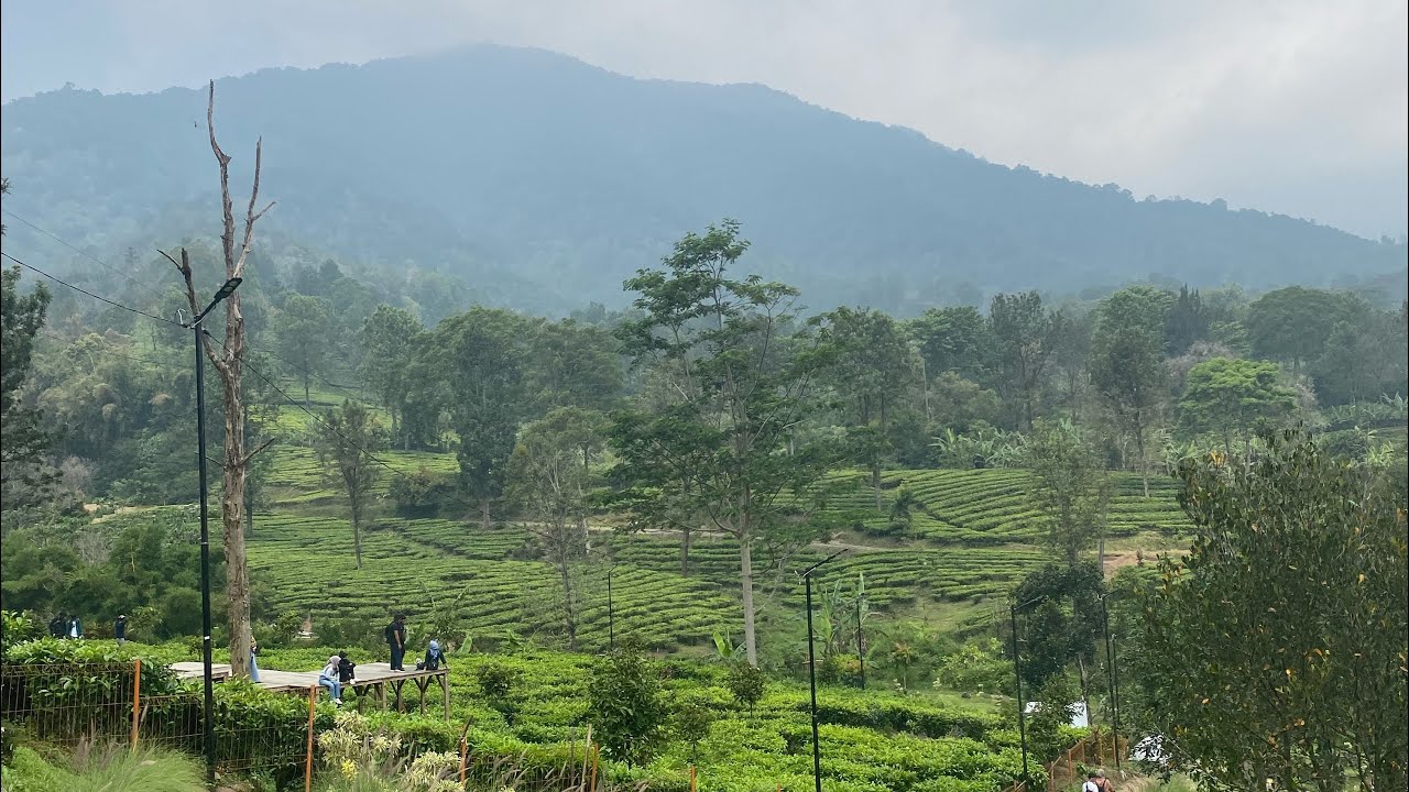 Camping Santai di Gunung Mas Agrowisata Puncak Bogor - YouTube