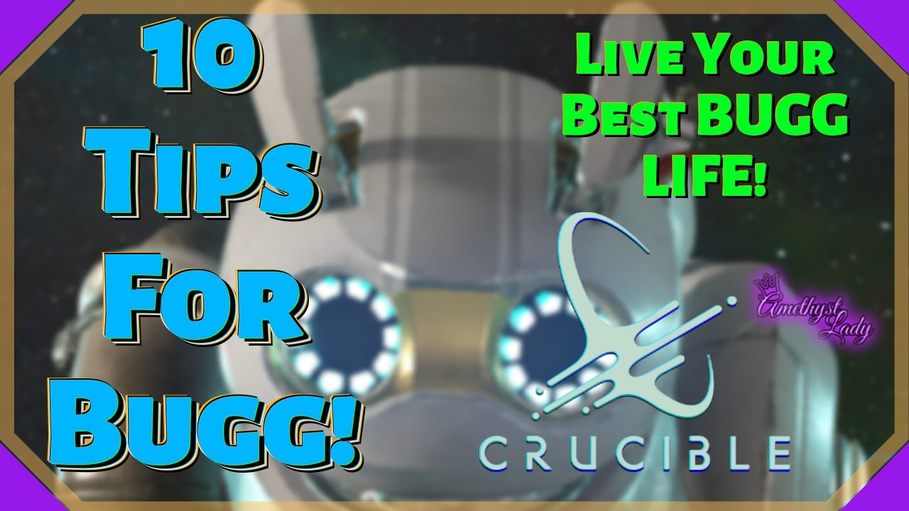 10 Tips For Bugg | How To Play Bugg - Live Your BEST Bugg Life ...
