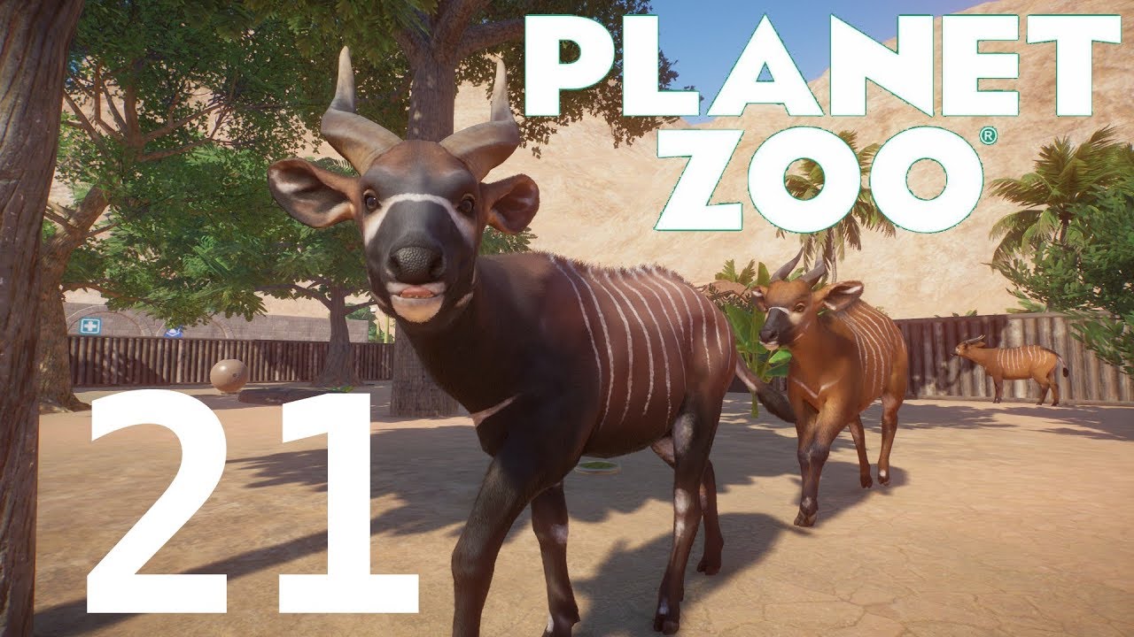 Let's Play Planet Zoo: Franchise (Part 21) - Bongo, Bongo, Bongos - YouTube