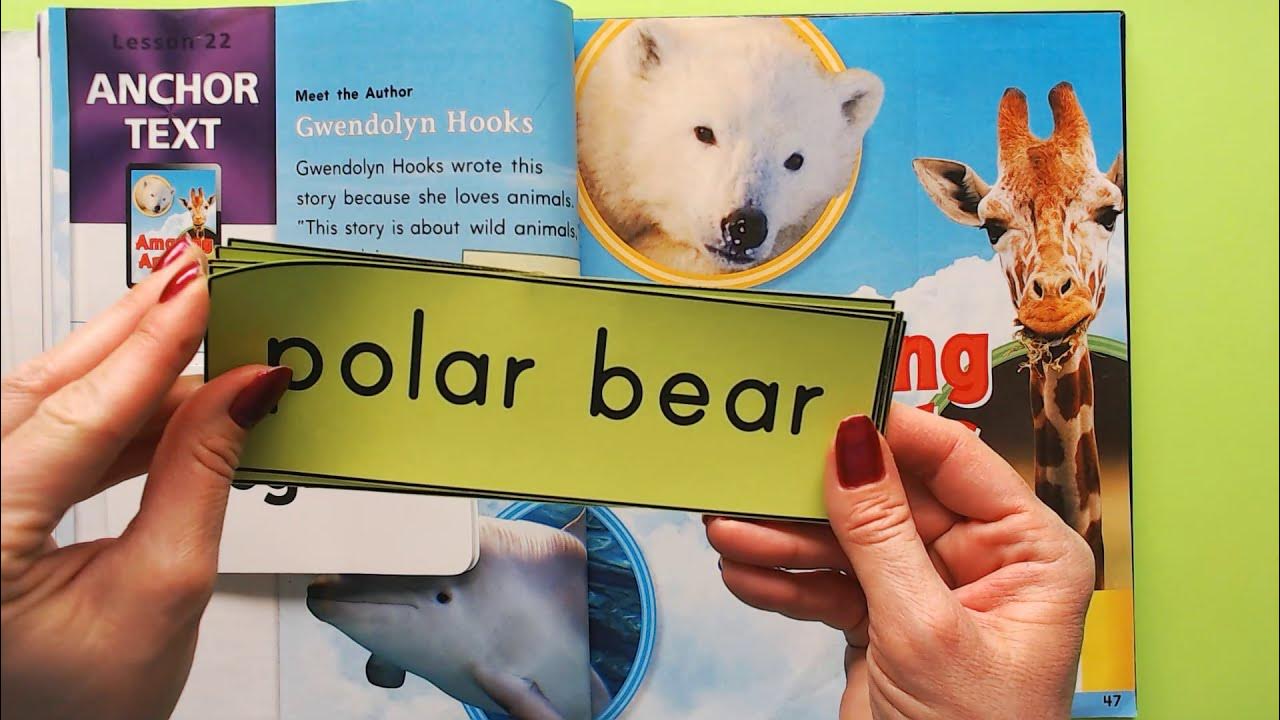 Journeys Grade 1 Lesson 22 Amazing Animals #3 15 - YouTube