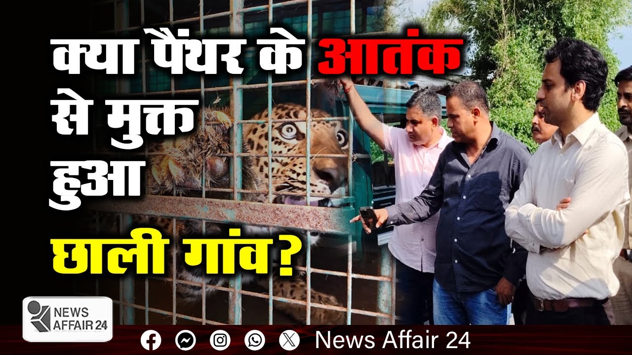 News Affair24 : क्या पैंथर के आतंक से मुक्त हुआ छाली गांव | Is Chhali ...