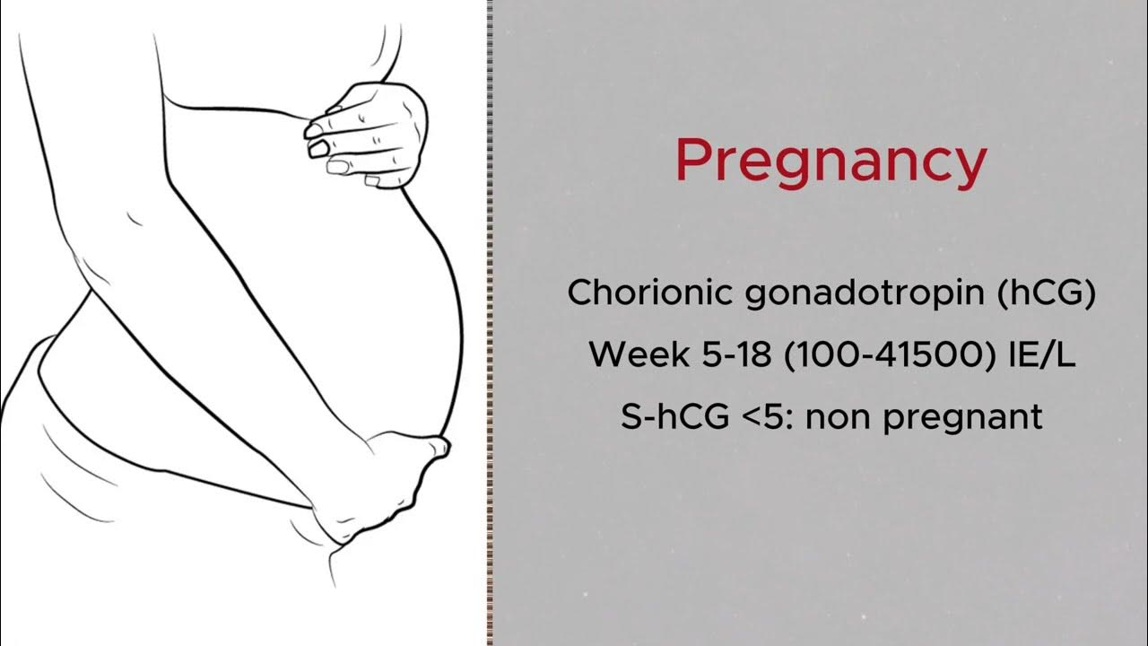 S-hCG and Beta-hCG: pregnancy and cancer #shorts - YouTube