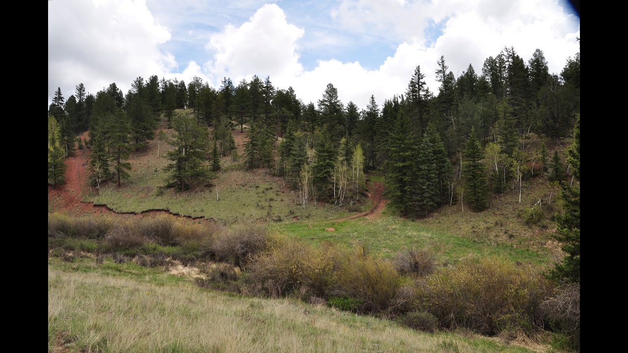 1676 Pathfinder Rd, Florissant, CO 80816 - YouTube