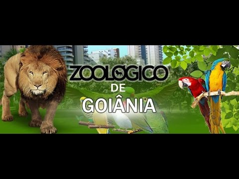 Zoológico de Goiânia Atractivos Turísticos en Goiás Brasil - YouTube