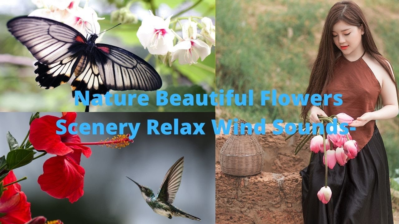 Best Amazing Nature Beautiful Flowers Relax Sounds 30 Min.Stress Relief ...