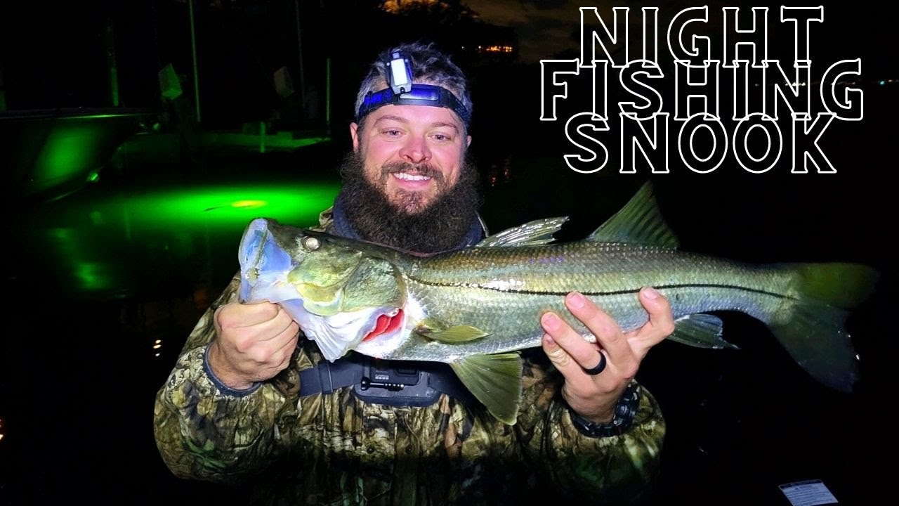16 Snook In 1 NIGHT | 3 PBs !! - YouTube