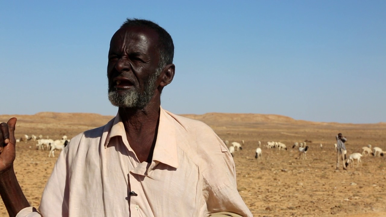 Xaalada Abaareed ee ka jirta dalka somalia ( sanaag ) - YouTube