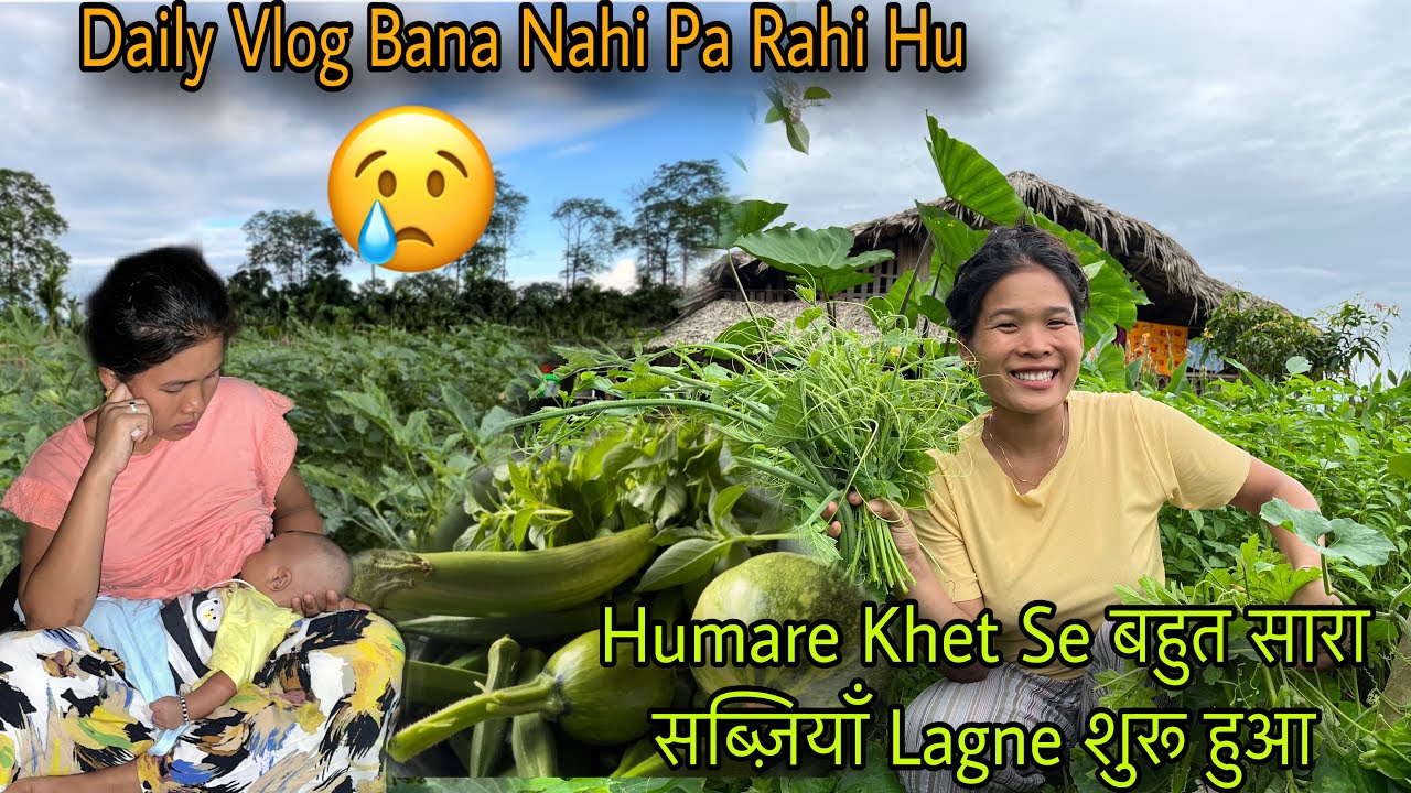 Daily Vlog Bana Nahi Pa Rahi Hu😢|| Humare Khet Se Bahot Sara सब्ज़ियाँ Lagne Suru Hogiya - YouTube