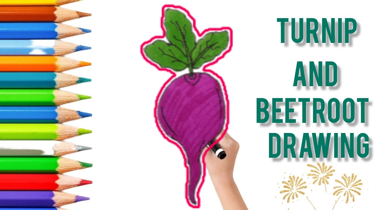 How to draw Turnip drawing and beetroot drawing 🤩. Easy vegetable ...