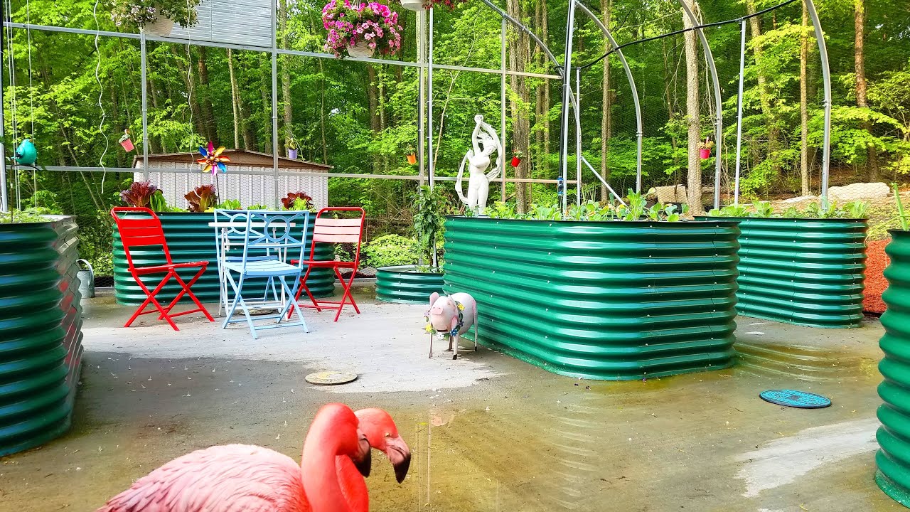 Raised Bed, Low Maintenance, Vegetable Garden, Enclosed, Automated ...