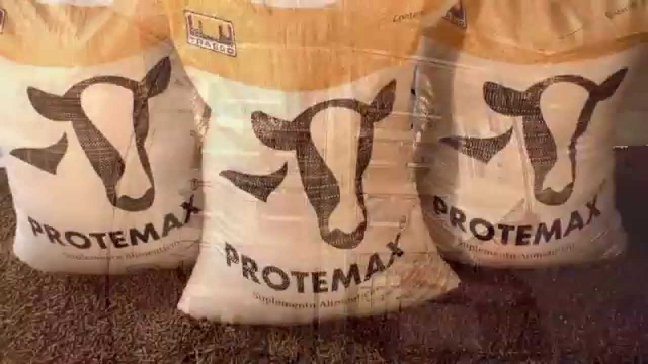 Protemax Video Institucional - YouTube