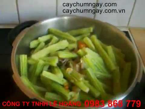 Moringa MIRACLE VEGETABLE - YouTube