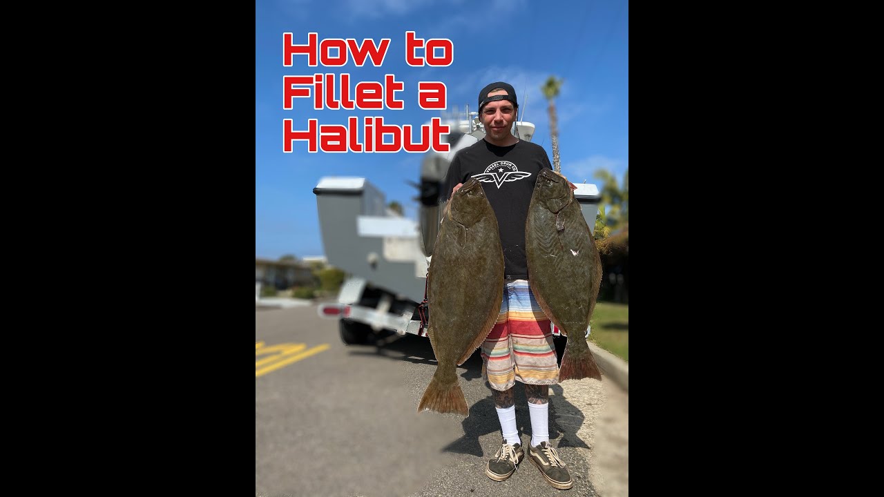 How to fillet a Halibut - YouTube