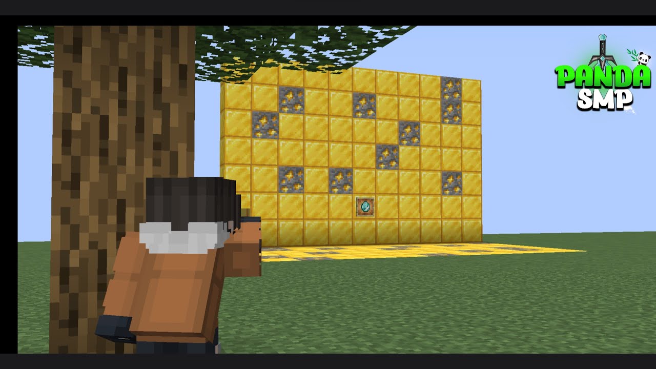 How I Lost My First Diamond In This Minecraft SMP | Panda SMP S2 - YouTube