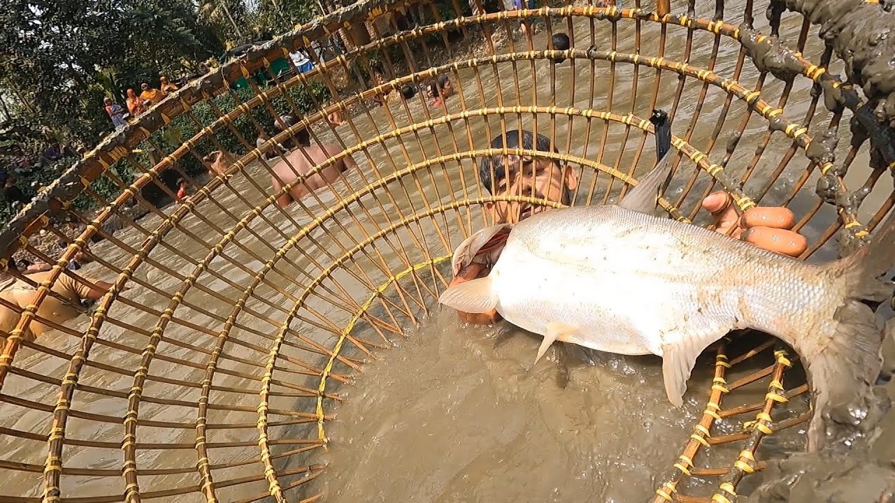 Hunting Big Fish In Fishing Competition | Amazing Traditional Fishing ...