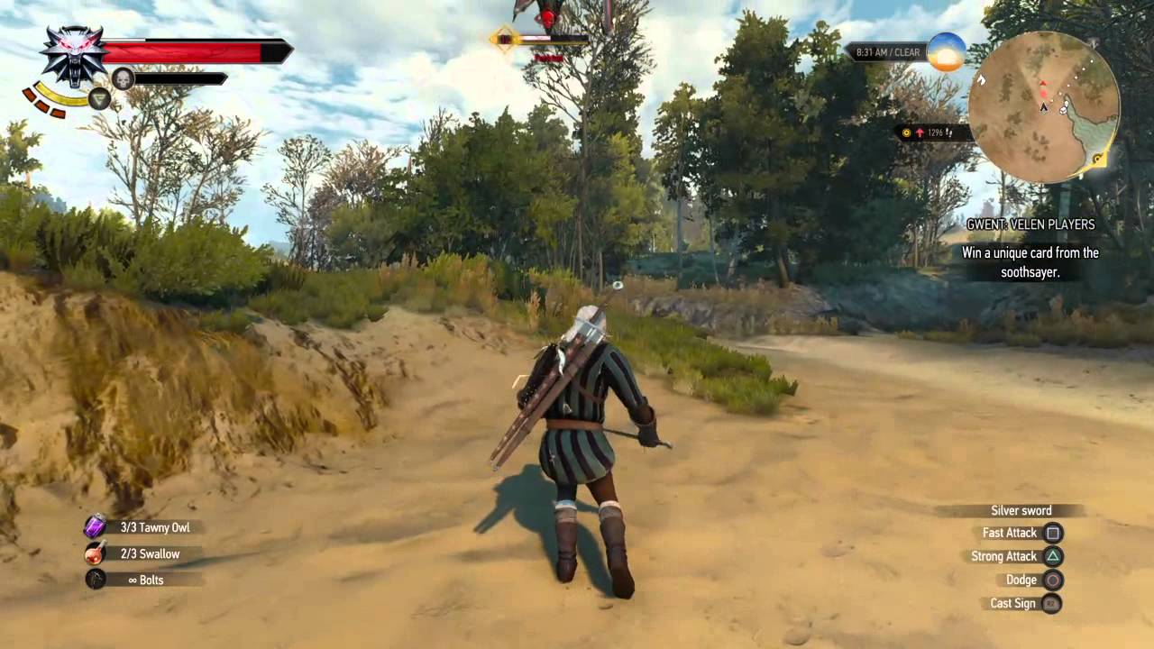 The Witcher 3: Epic Forktail fight lvl 4 VS 14 hard difficulty. - YouTube