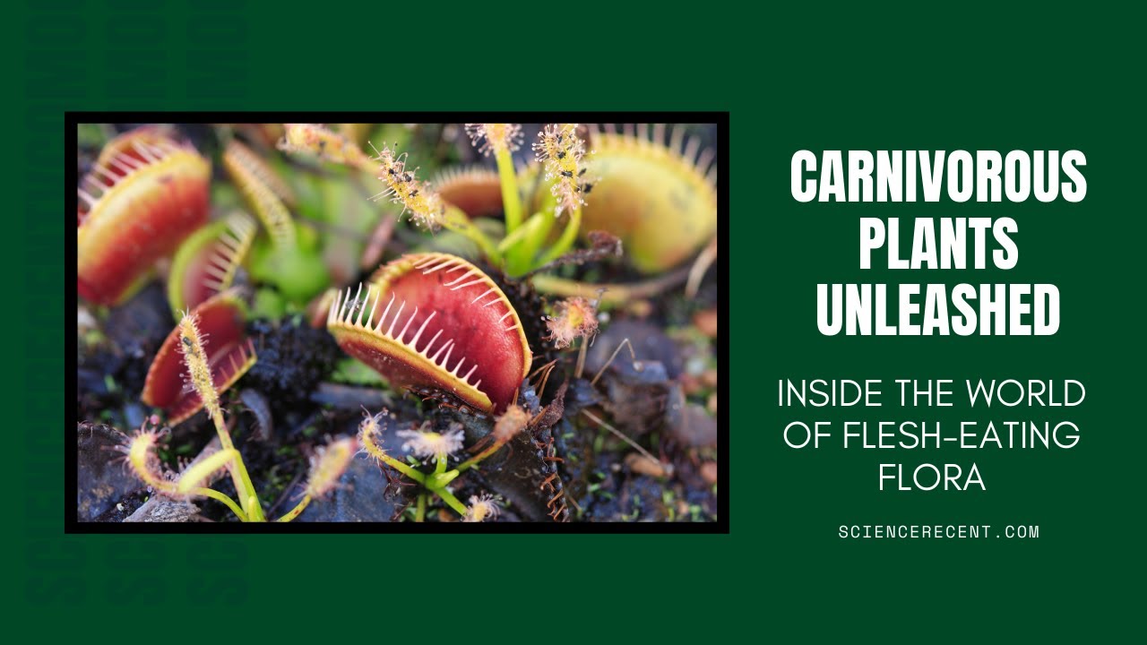 Carnivorous Plants Unleashed: Inside the World of Flesh-Eating Flora ...