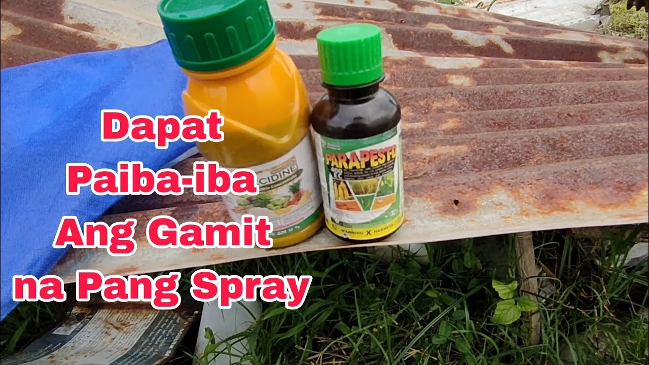 Nimbecidine and Parapest Insecticide - YouTube