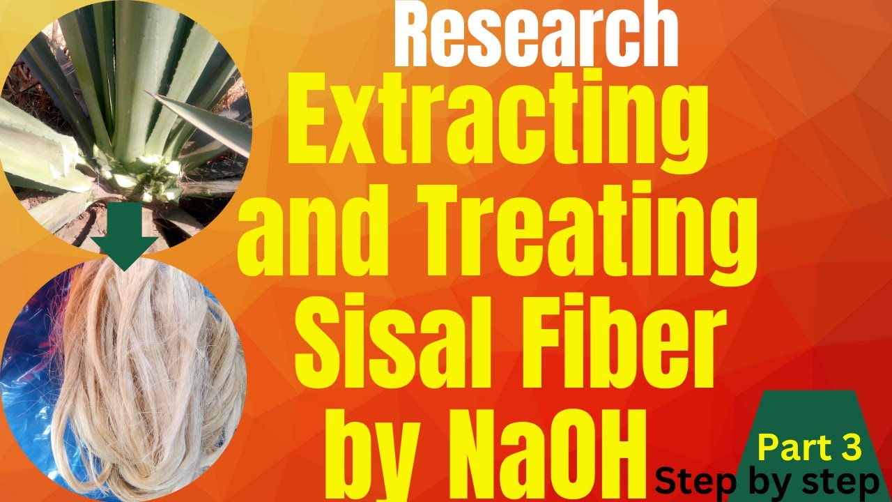 #3: Extracting and treating sisal - YouTube