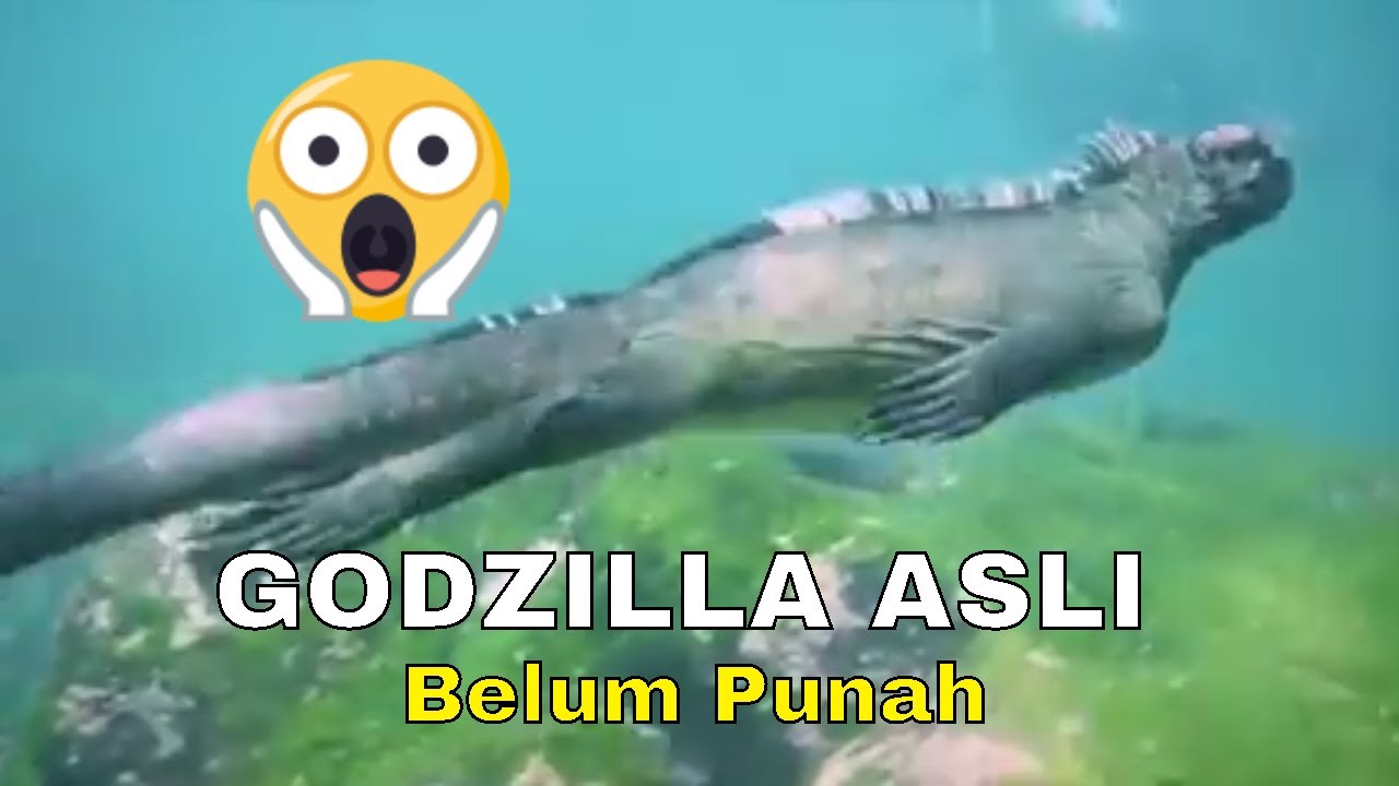 8 HEWAN PURBA PUNAH YANG MASIH HIDUP KEMBALI.. Godzilla Asli Muncul ...