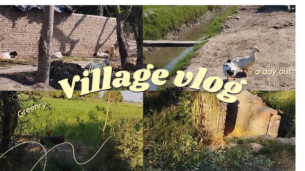 village vlog|A day at my beautiful village |Mera beautiful gaon| calm ...