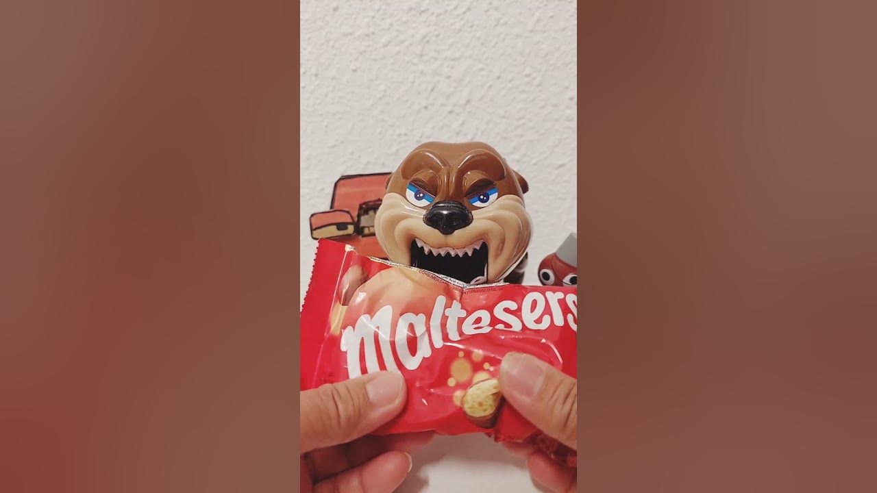 TRENDING ASMR MADDOG GIVE MY MALTEESER CHOCOLATE #maddog #asmr #satisfying #reaction #shorts ...