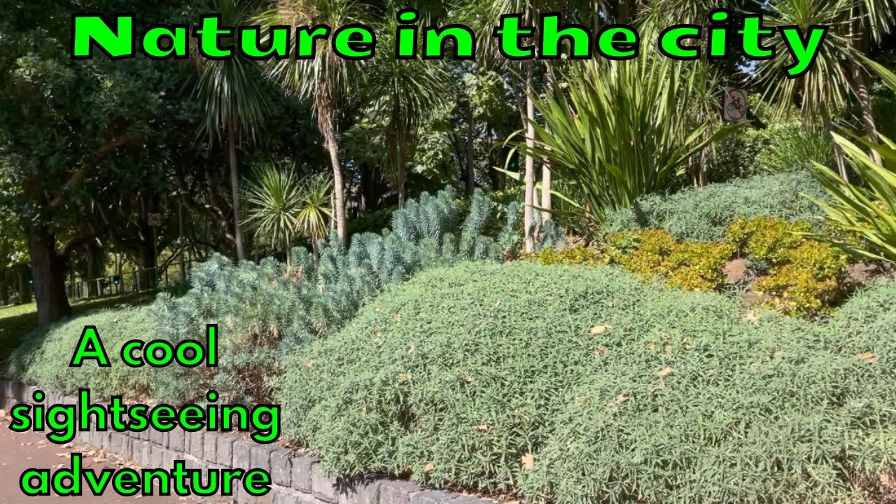 A park walking tour - Nature in the city, lots cool plants, colourful ...