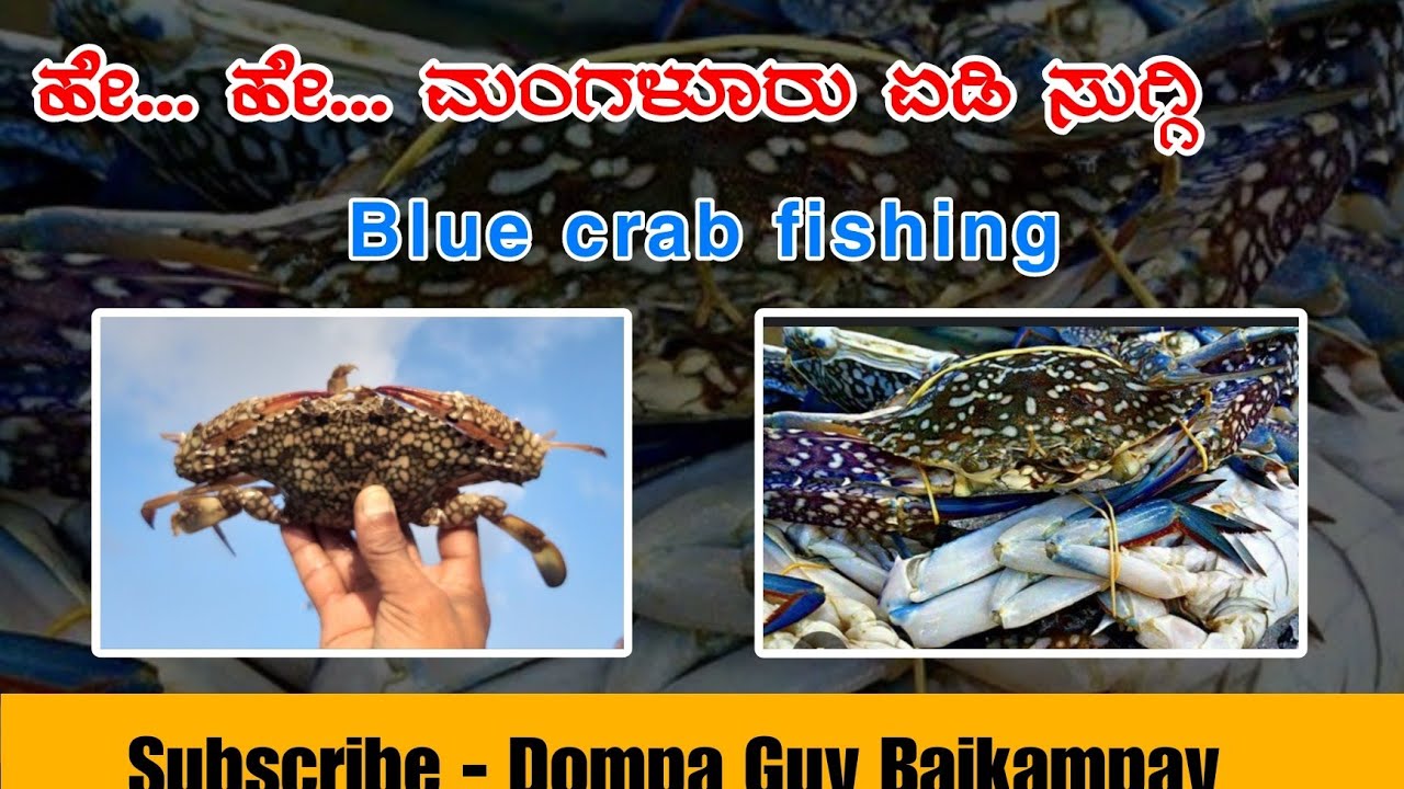 Ultimate Blue Crab Fishing Adventure | Catching Crabs in Coastal Waters ...