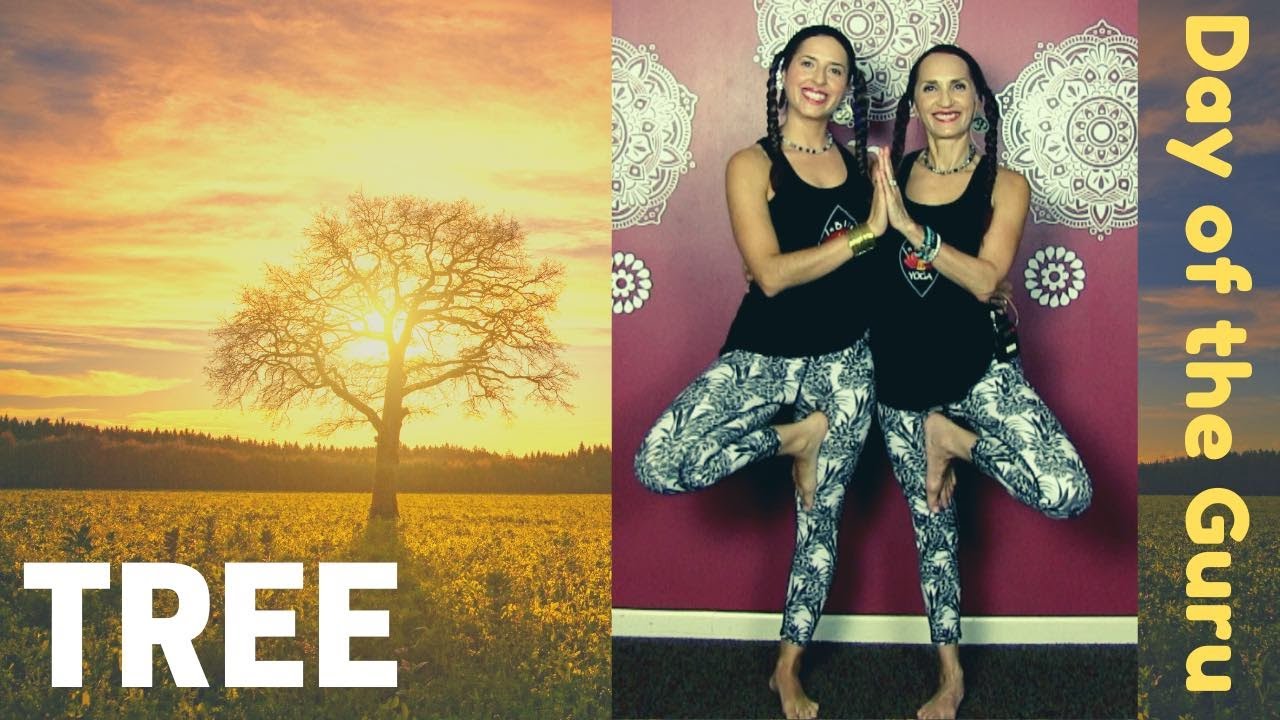 Day of the Guru- Tree - YouTube