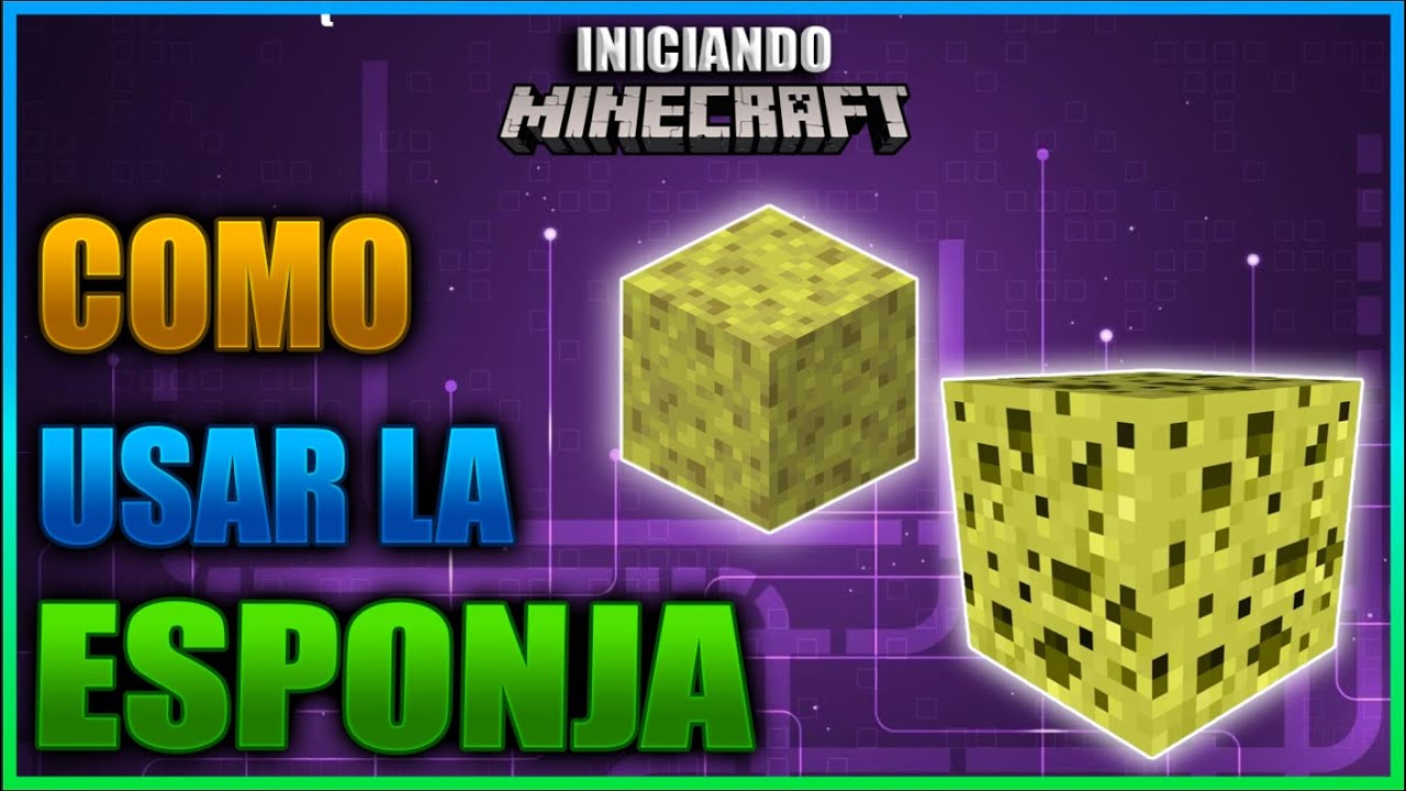 COMO USAR LA ESPONJA PARA SECAR OCEANOS - TODO - COMO SE HACEN ...