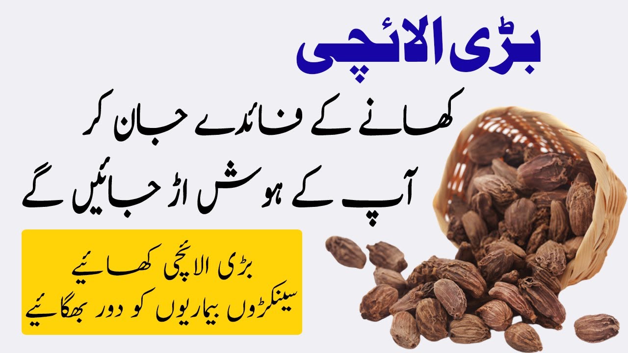 Badi Elaichi K Faiday | Benefits Of Black Cardamom In Urdu | HealthCare ...