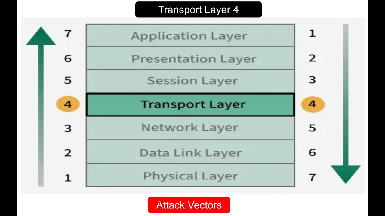 Transport Layer in Networking & its Attack Vectors - YouTube