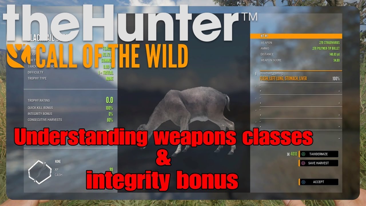 weapons classes and integrity bonus - YouTube
